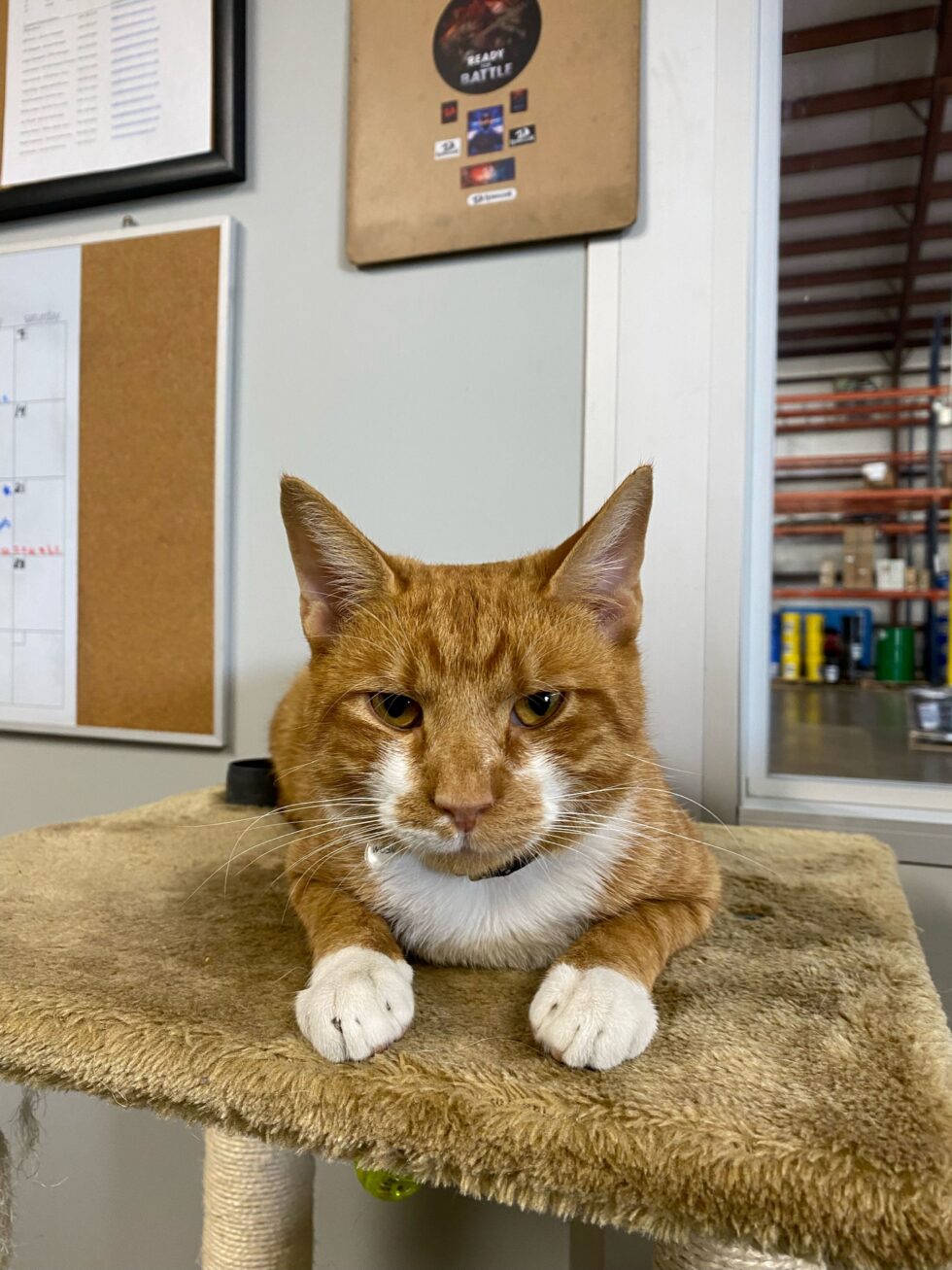 Our Professionals | Atlantic Compressors